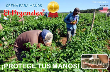 El Pizcador Crema